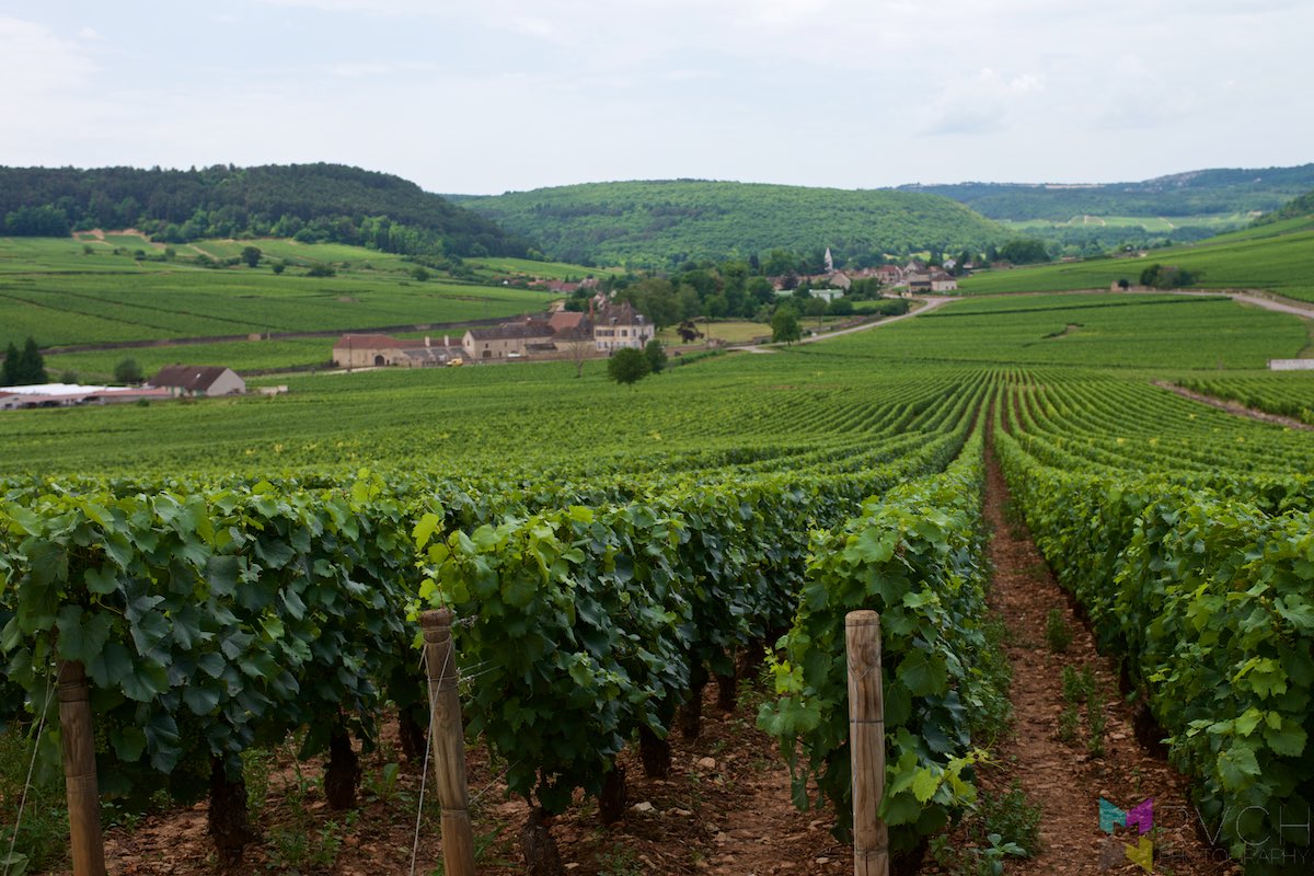 Euro Road Trip – Côte d’Or - RVCH Photography